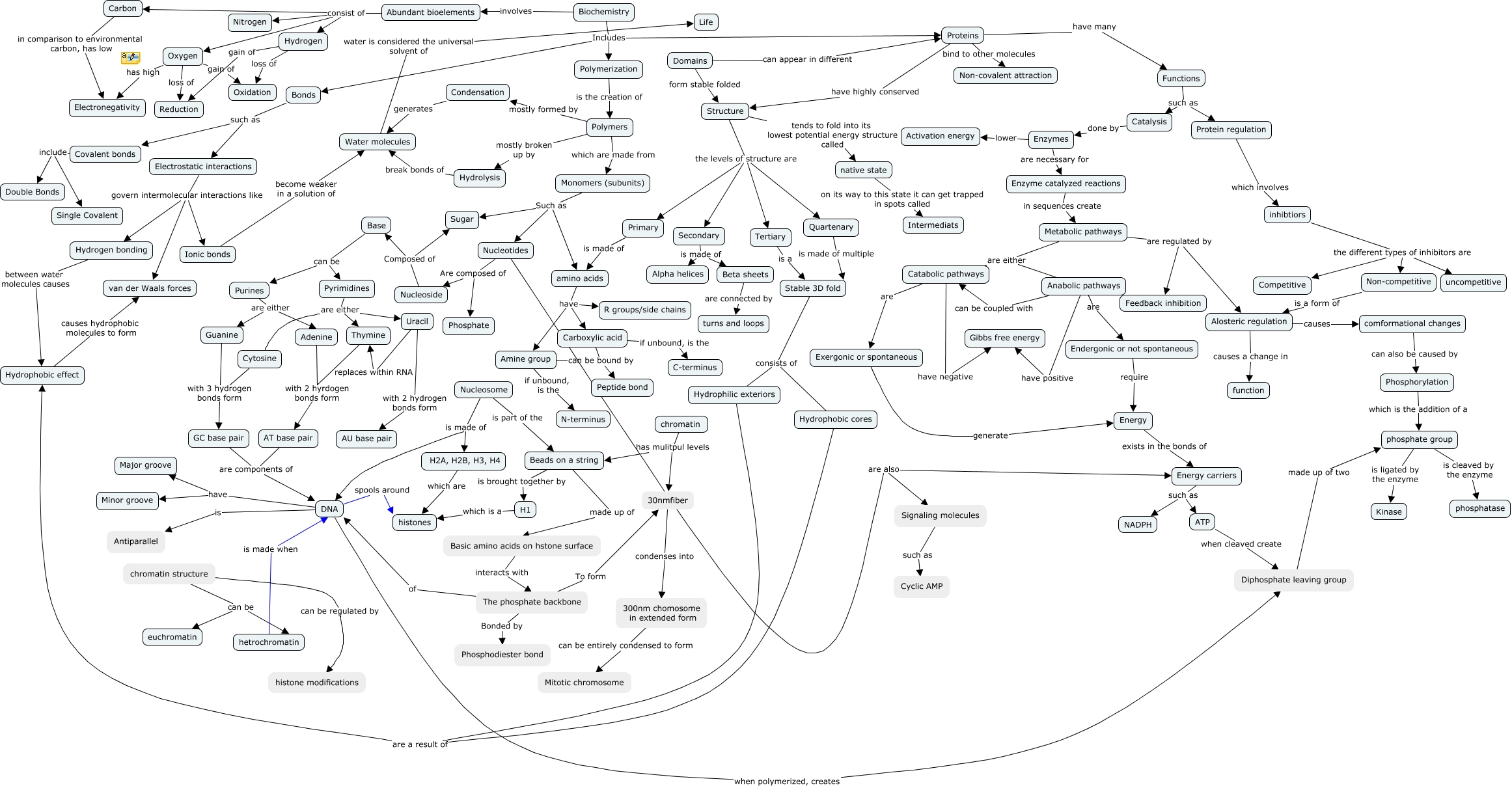 Biochem concept map
